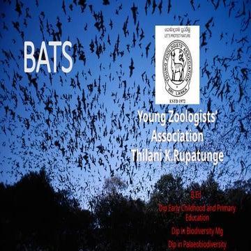 BATS in the wolrd and the basic ecology.pptx