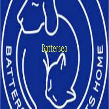 Battersea cat and dogs home | PPTX | Cats | Pets