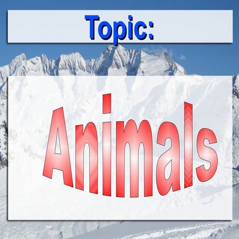 Animal 5th grade | PPT