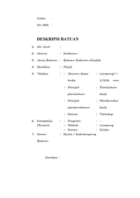 Identifikasi batuan beku | PDF