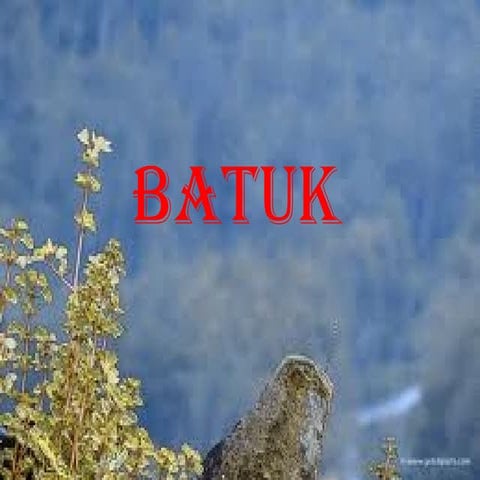 BATUK, PENYEBAB, GEJALA DAN PENGOBATANNYA.pptx