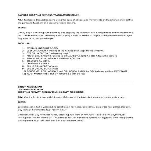 Bavideo Shooting Exercise | DOC