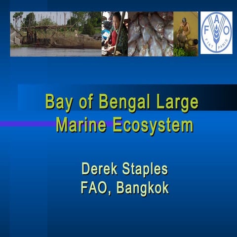 Bay of Bengal Large Marine Ecosystem | PPT