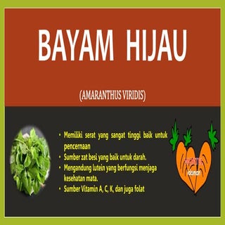 BAYAM HIJAU.pptx