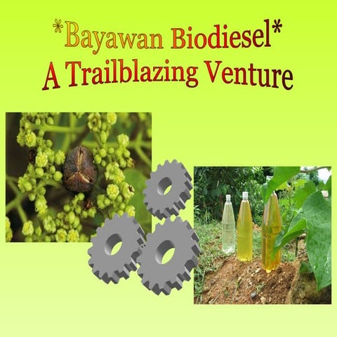 Bayawan City Biodiesel Project | PPT