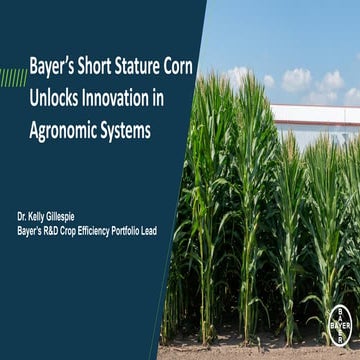 Bayer’s Short Stature Corn Unlocks Innovation in Agronomic Systems.pdf ...