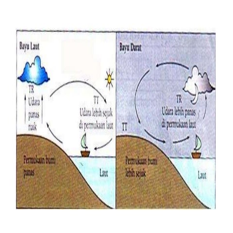 Bayu laut | PPTX