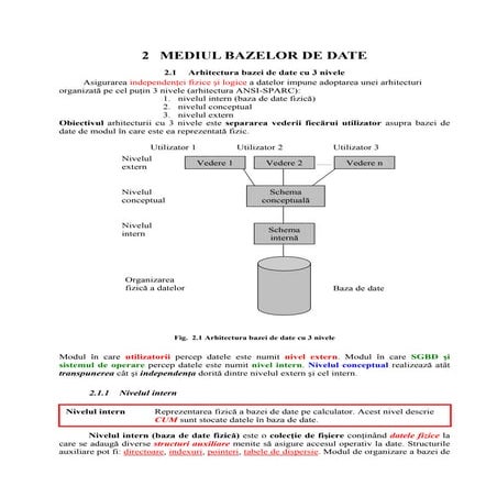 Baze date cap_2 | PDF