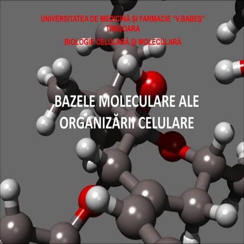 Bazele moleculare | PPT