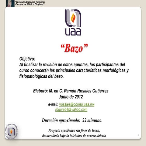 Bazo | PPTX