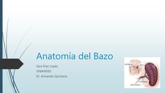 PATOLOGÍA QUIRÚRGICA DEL BAZO Y SISTEMA VASCULAR PERIFÉRICO | PPTX