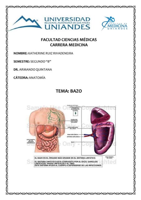 PATOLOGÍA QUIRÚRGICA DEL BAZO Y SISTEMA VASCULAR PERIFÉRICO | PPTX