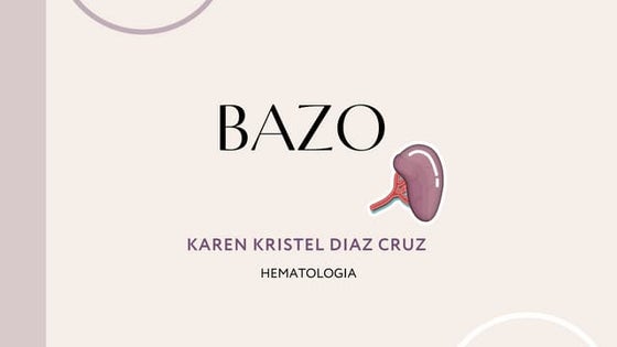 Anatomia del bazo | PPT