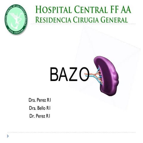 Bazo. Anatomia y patologias quirurgicas. | PPT