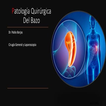 Anatomía del Bazo | PDF