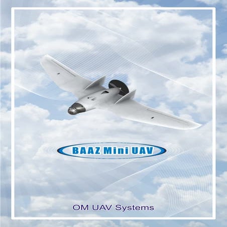 Bazz mini-uav | PDF