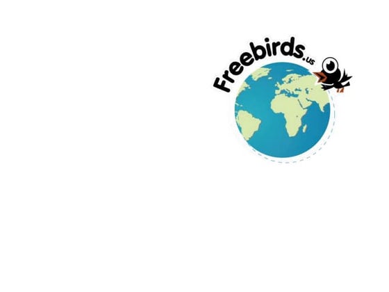 Fanzz World Cup Infographic | PDF