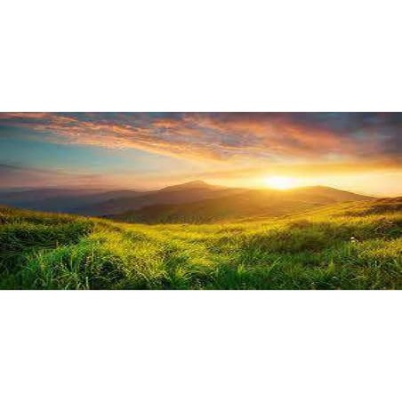 The Ultimate Guide to Understanding Humidity and Its Effects | PDF