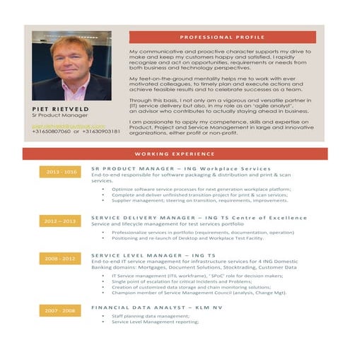 CV Daniel Stokvis 08-05-2015 | DOCX