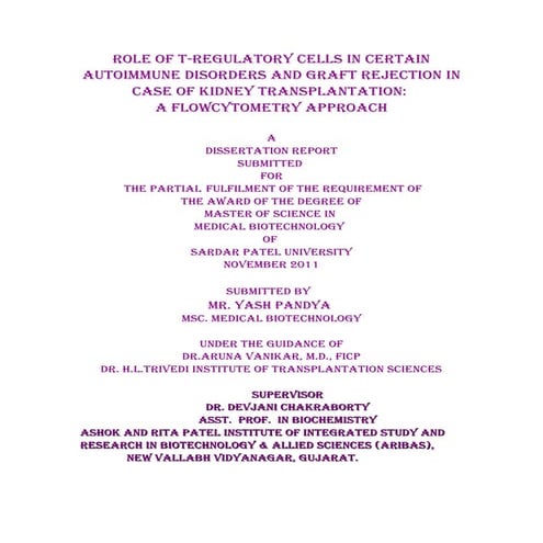 Yash Project Work Thesis | DOC