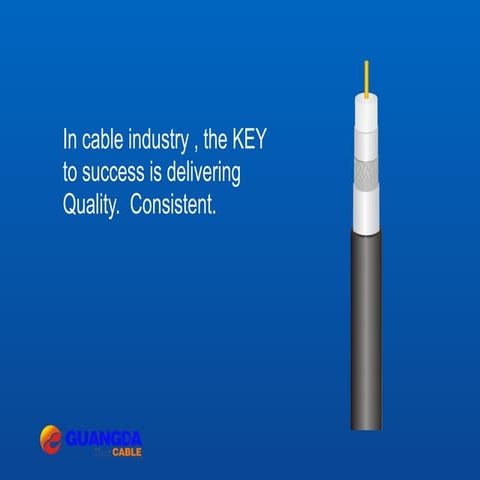 Guangda Company profile | PDF