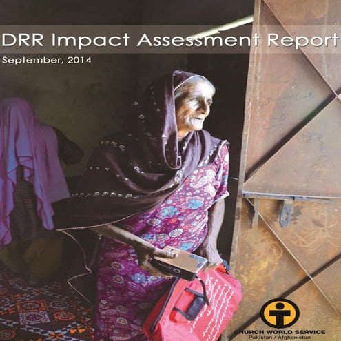 DRR Report | PDF