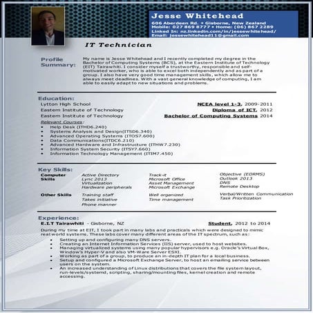 Dumisani ncube cv_-_2017 | DOC