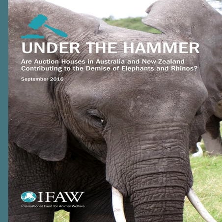 IFAW Under the hammer | PDF