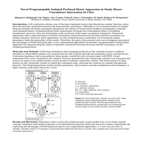 BMES Abstract_Final_2 | PDF