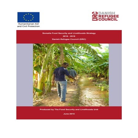 Livelihoods strategy DRC_V_ 20151019 | PDF