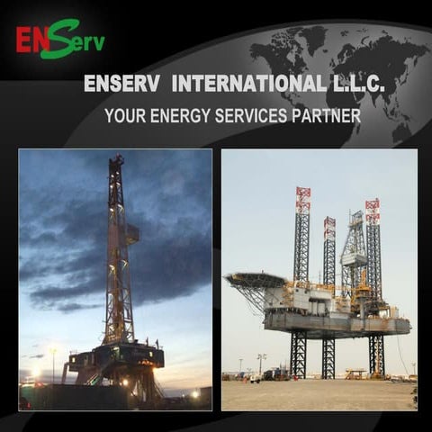 EnServ Profile | PDF