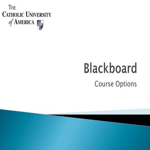 Course Options | PDF