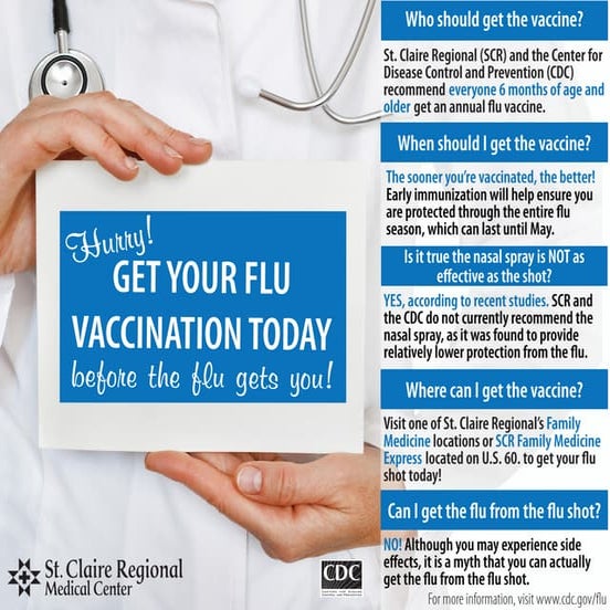 Flu Infographic | PDF