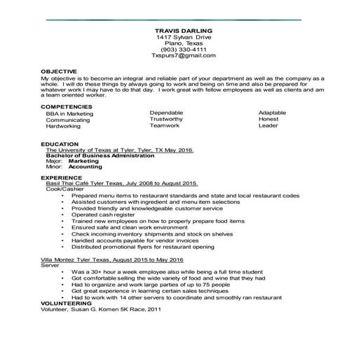 Travis Darling Resume | DOCX