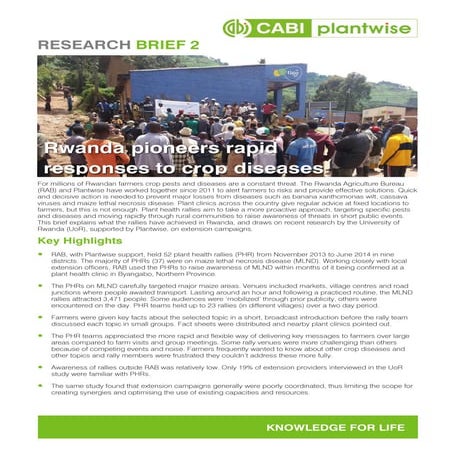 Research Brief 2 Plant Health Rallies In Rwanda | PDF