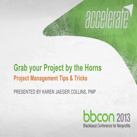 Grab Your Project by the Horns | PDF | Business | Business and Finance
