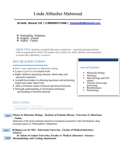 Hussein Sultan CV | DOCX