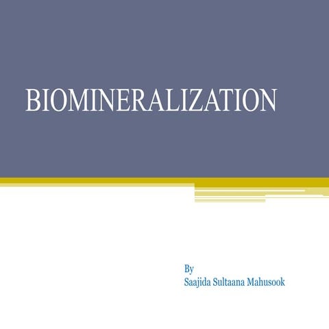 Biomineralization | PPTX