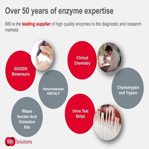 BBI Solutions - Enzymes | PPT