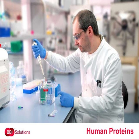 BBI Solutions - Human Proteins | PPTX