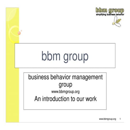 bbm Group An Introduction To Our Work | PDF