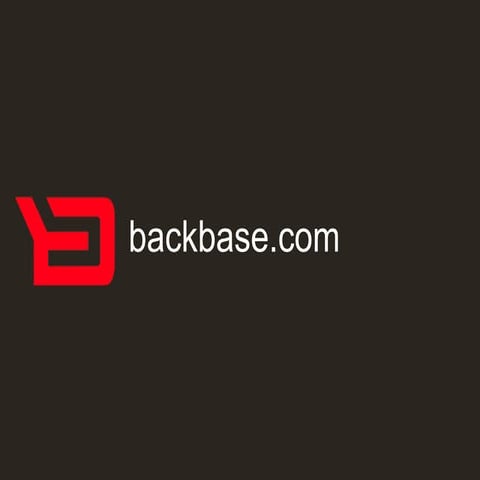 backbase customer engagement portal | PPT
