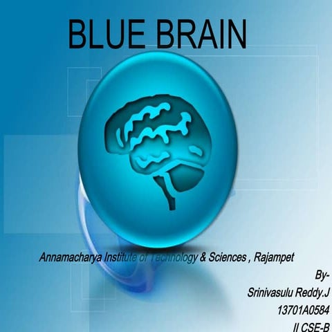 BLUEBRAIN(J.S.R) | PPT