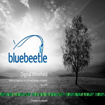 Digital Minefield | PPT