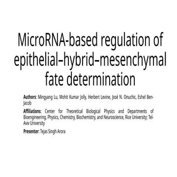MicroRNA-based regulation of epithelial–hybrid–mesenchymal fate ...