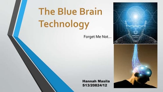 Blue Brain Seminar Report | PDF