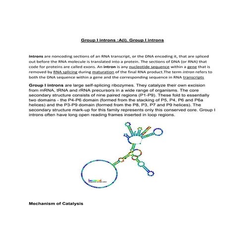 Intron and types | PDF