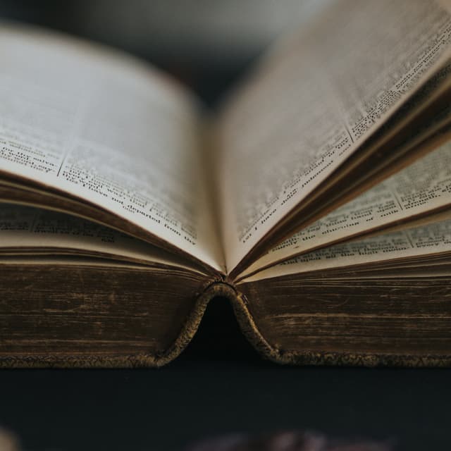 BBTC Newsletter July 3&4 | PDF