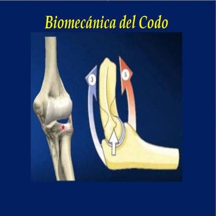 Biomecanica del Codo | PDF