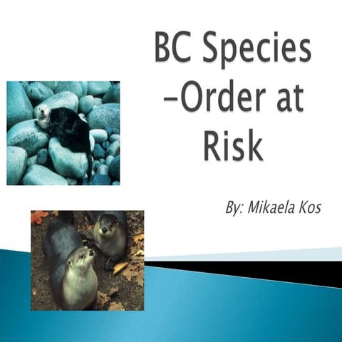 BC Species - Order At Risk | PPTX